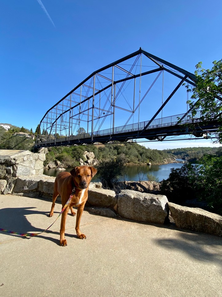Folsom Historic Truss Bridge – Walkies Through History