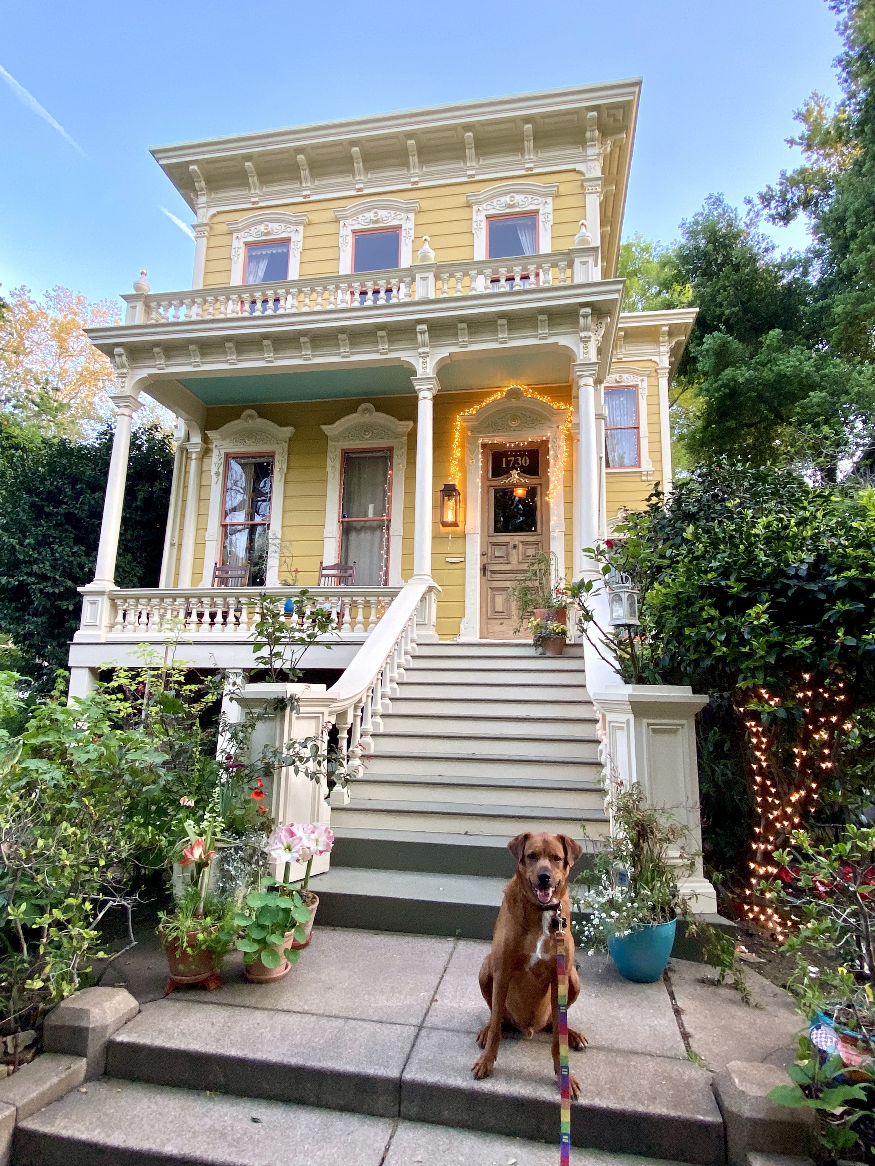 William Doyle House – Walkies Through History