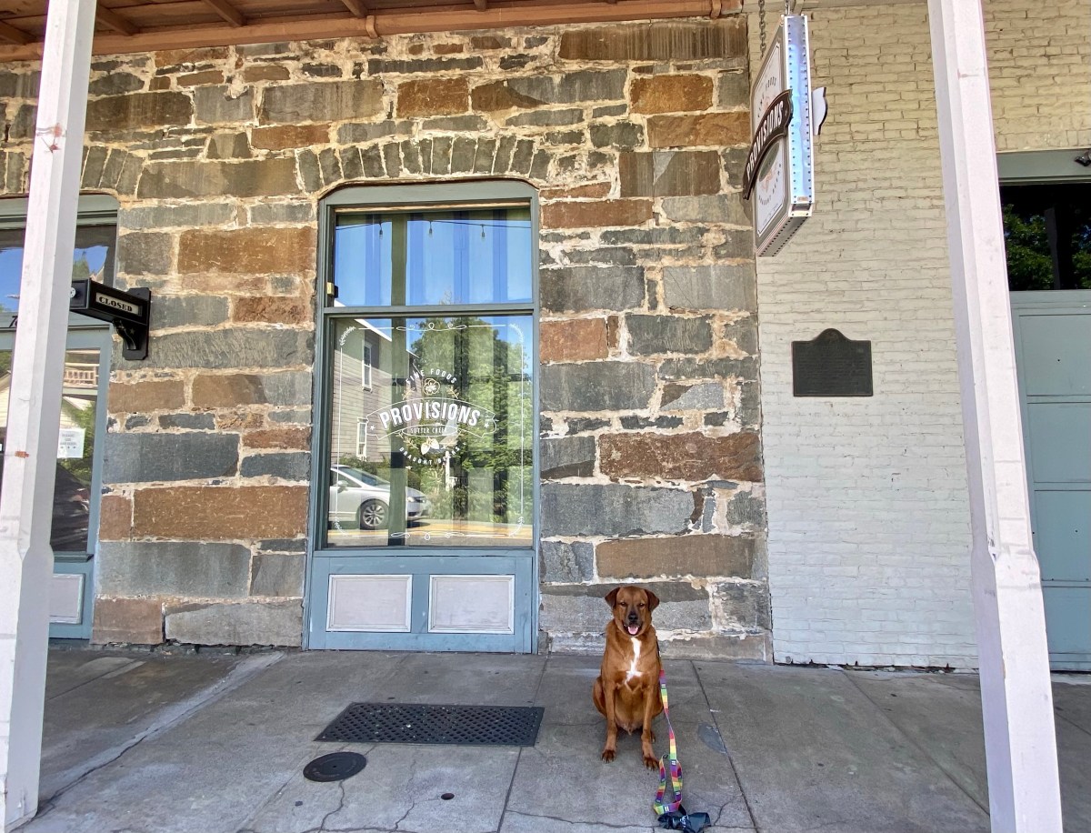 Sorocco and Co. Building – Walkies Through History