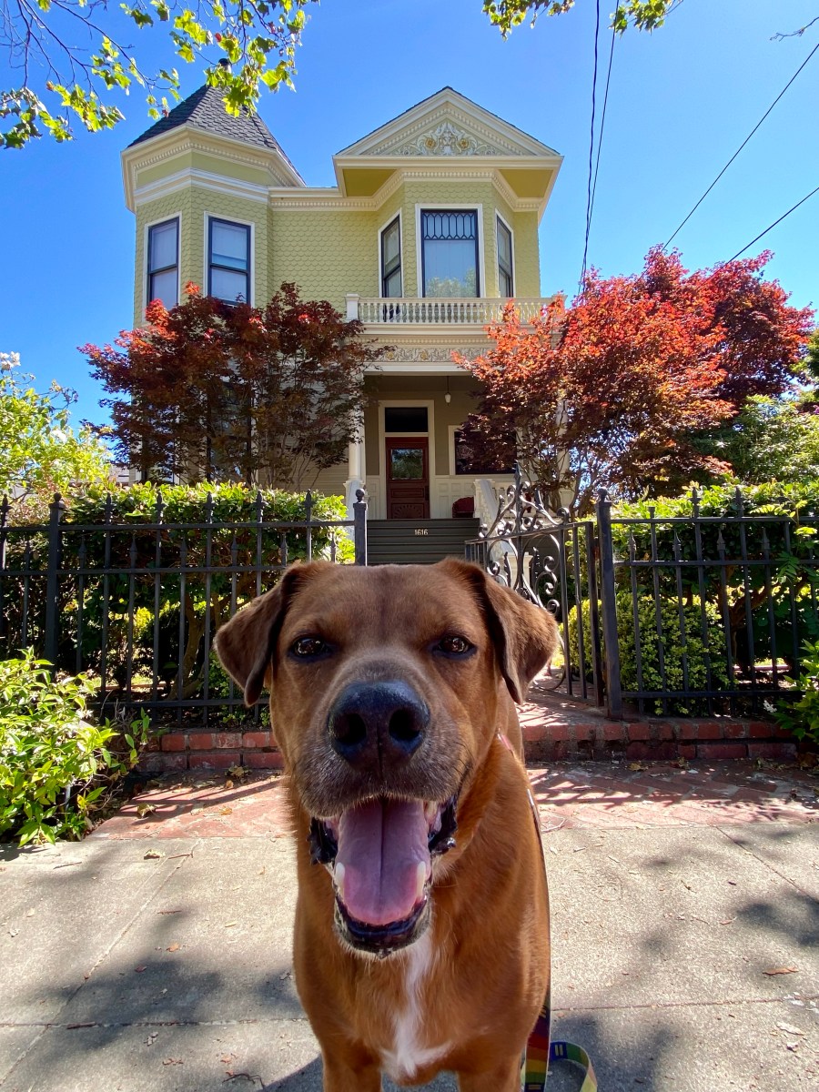 John Marquis House – Walkies Through History