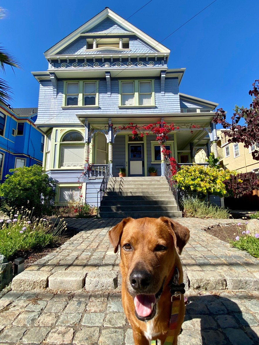 Elliott-Thayer House – Walkies Through History