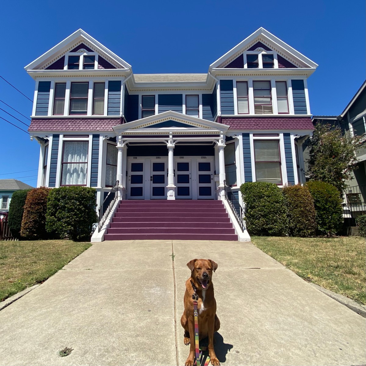 Ruth Colby House – Walkies Through History