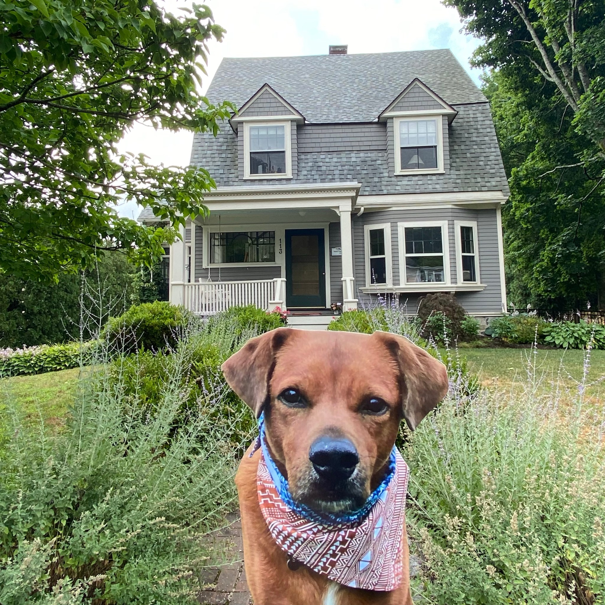 Samuel Staples House – Walkies Through History