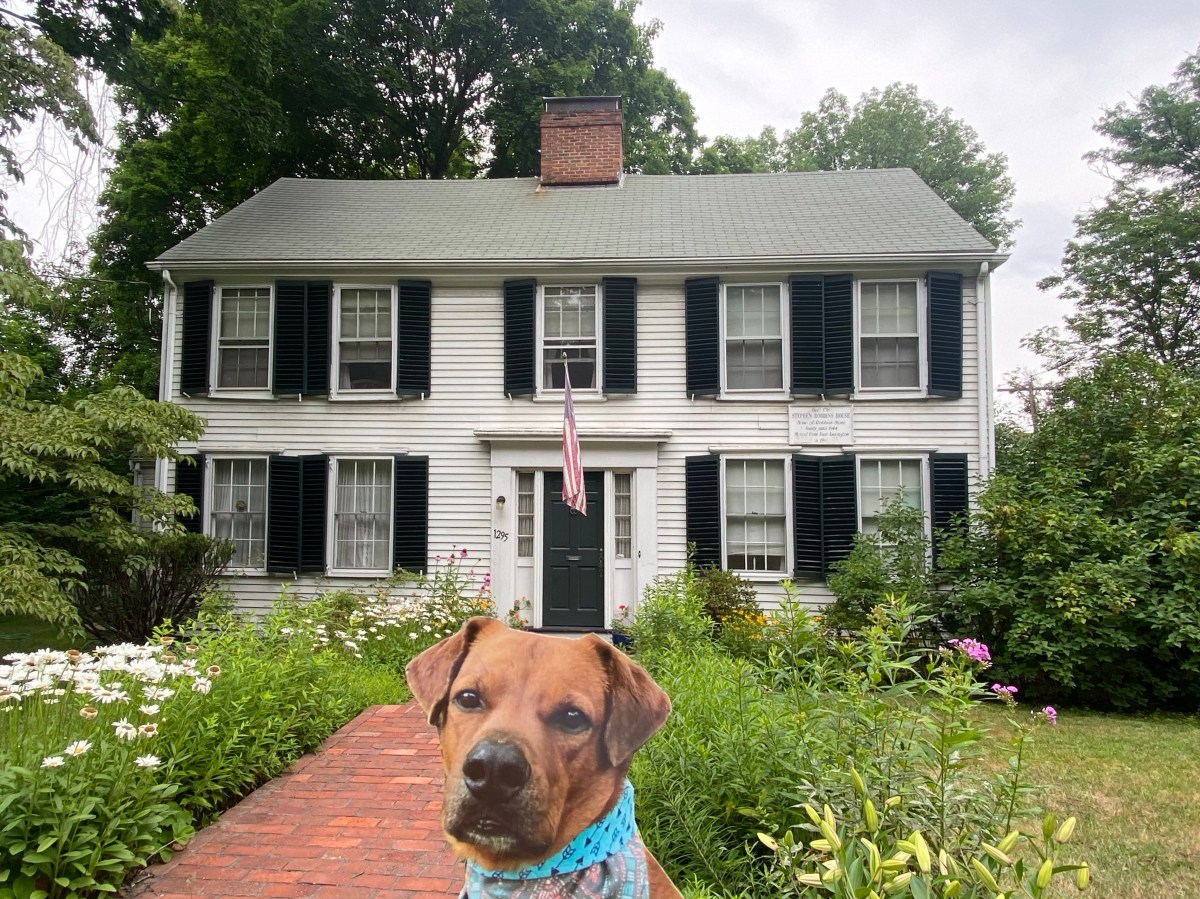 Stephen Robbins House – Walkies Through History