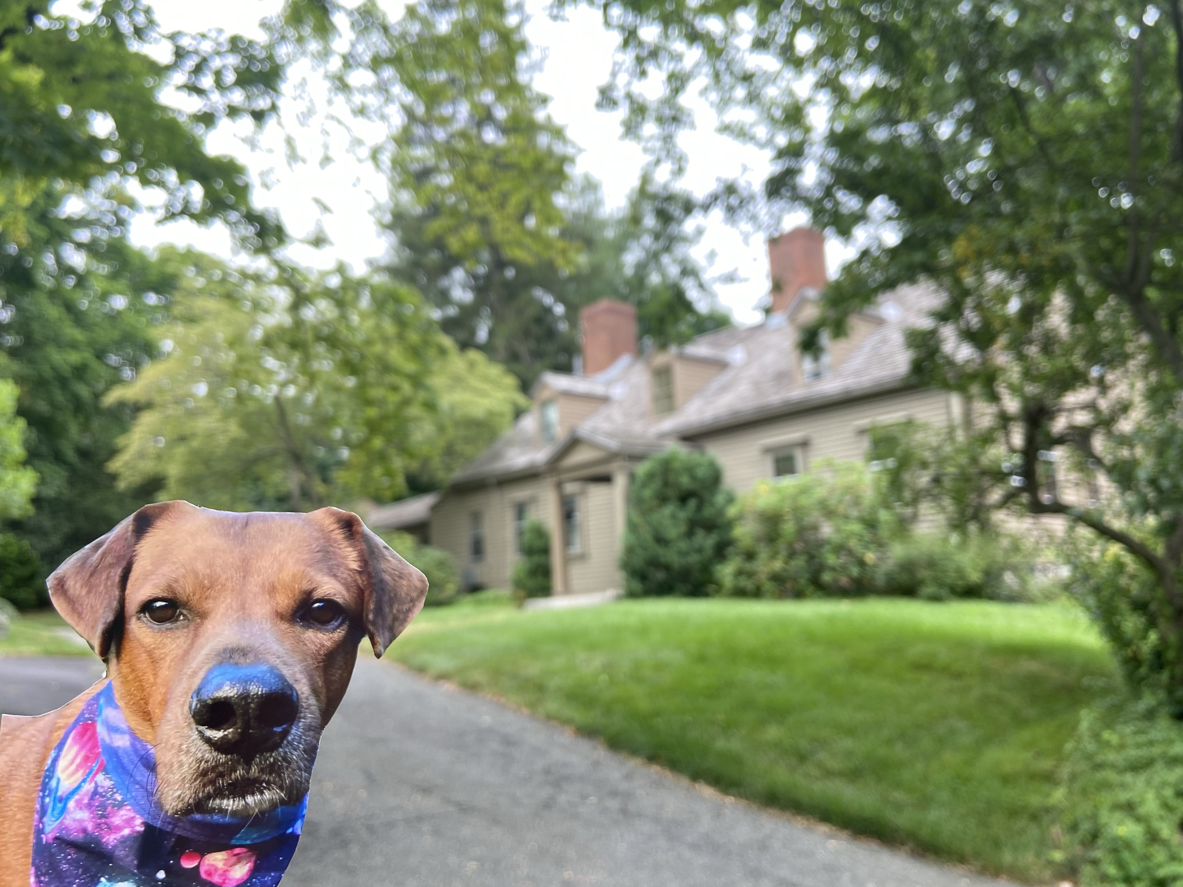 Sanderson House – Walkies Through History