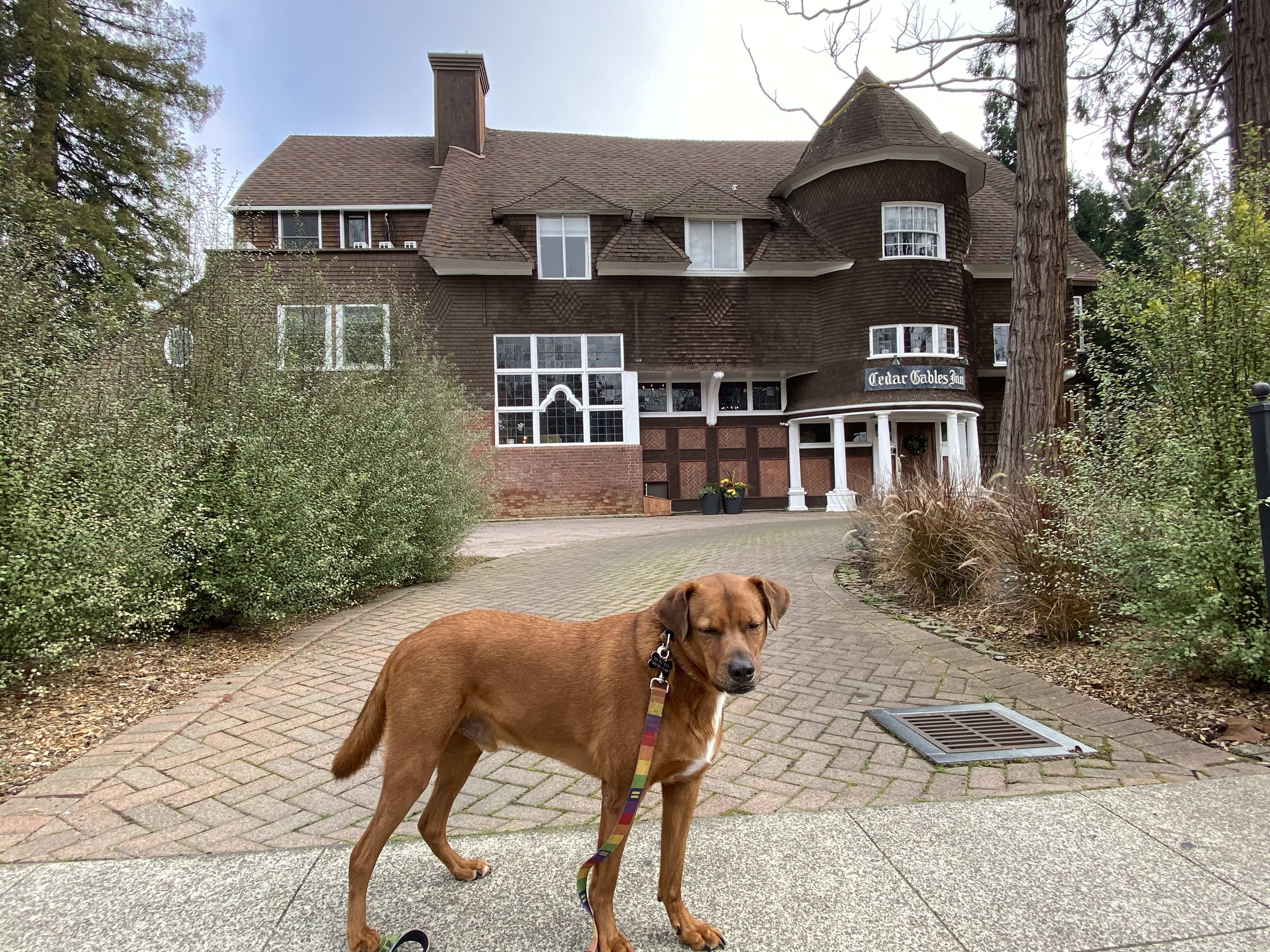 Cedar Gables – Walkies Through History