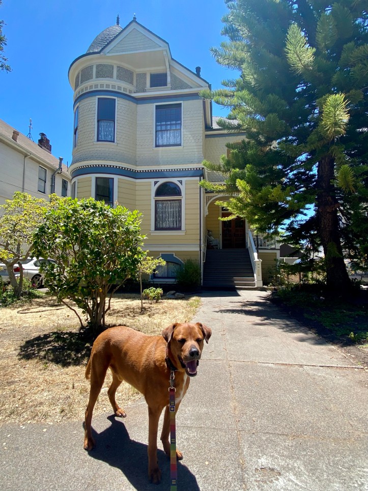 Cornelius Stratton House – Walkies Through History
