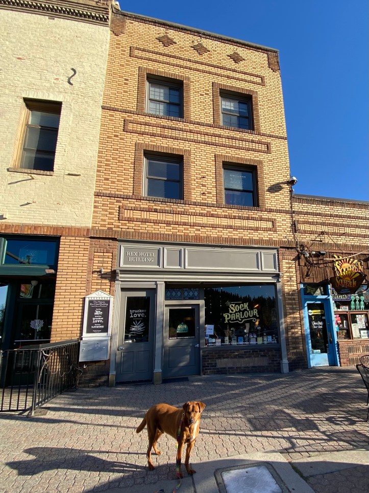 The Rex Hotel Building – Walkies Through History