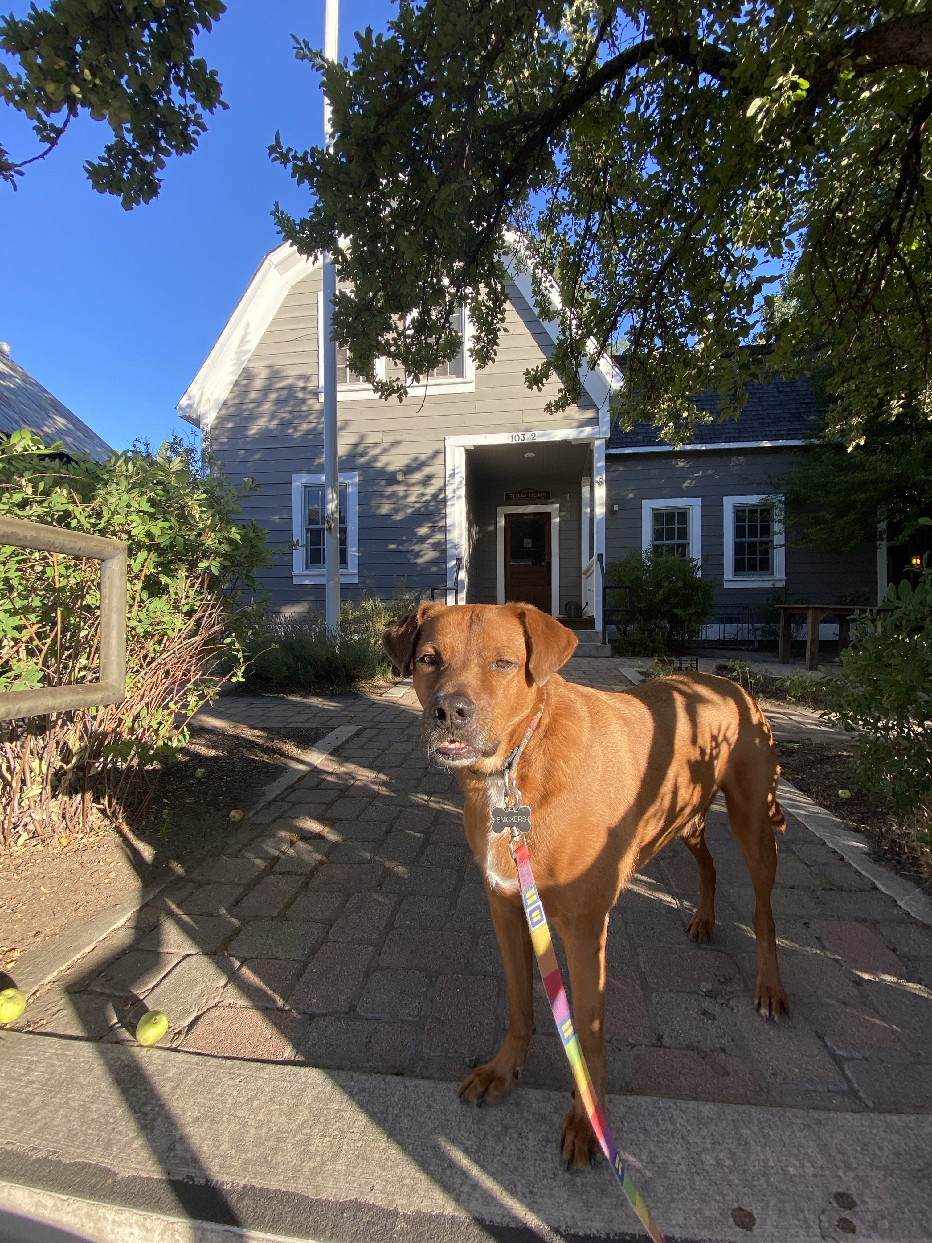 Titus House – Walkies Through History