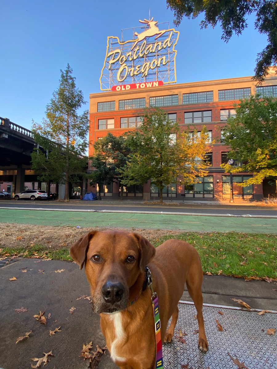 Portland Sign – Walkies Through History
