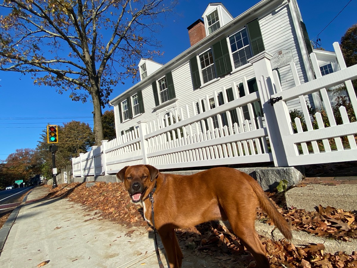 Fitch Tavern – Walkies Through History