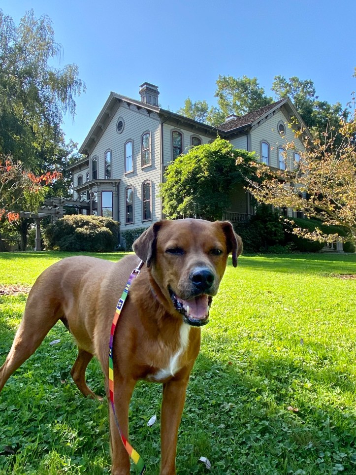 Bush House Museum – Walkies Through History