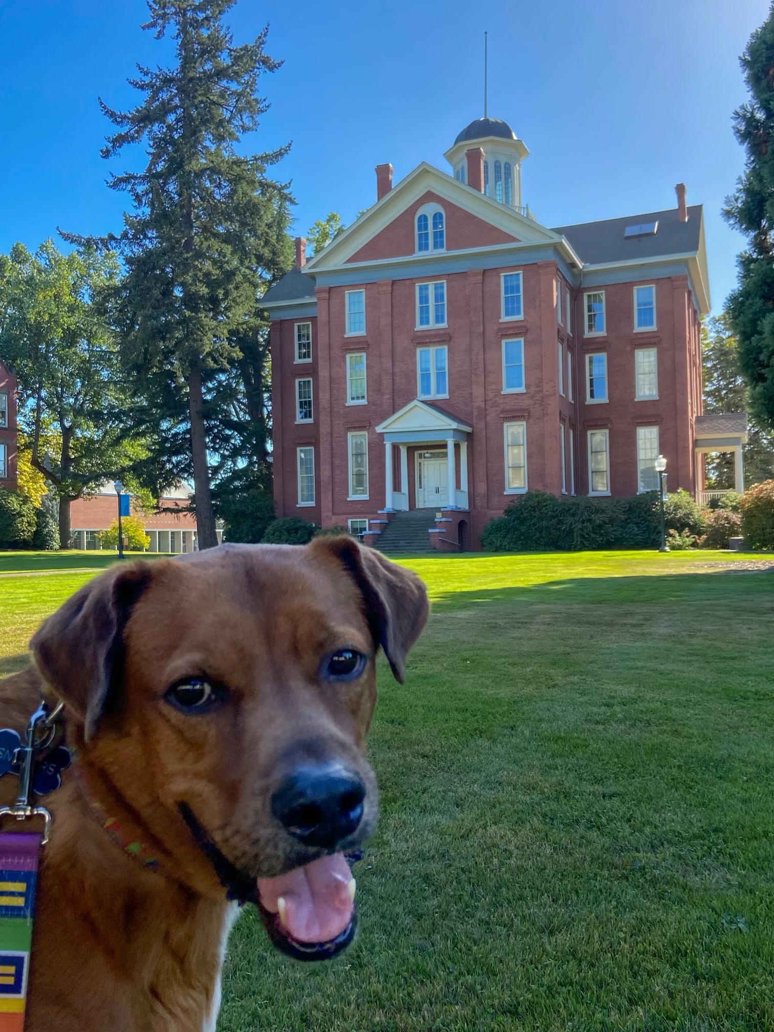 Waller Hall – Walkies Through History