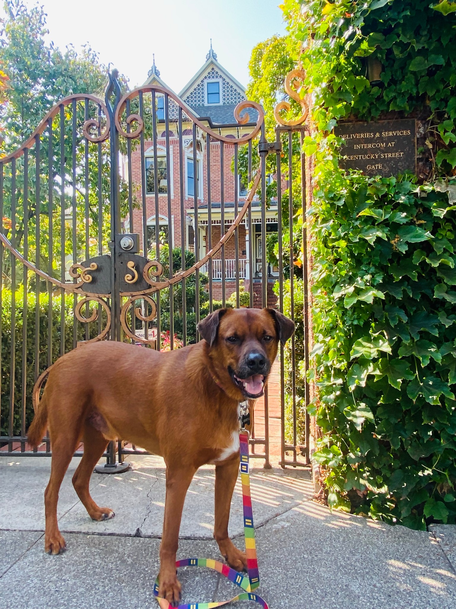 Buck Mansion – Walkies Through History