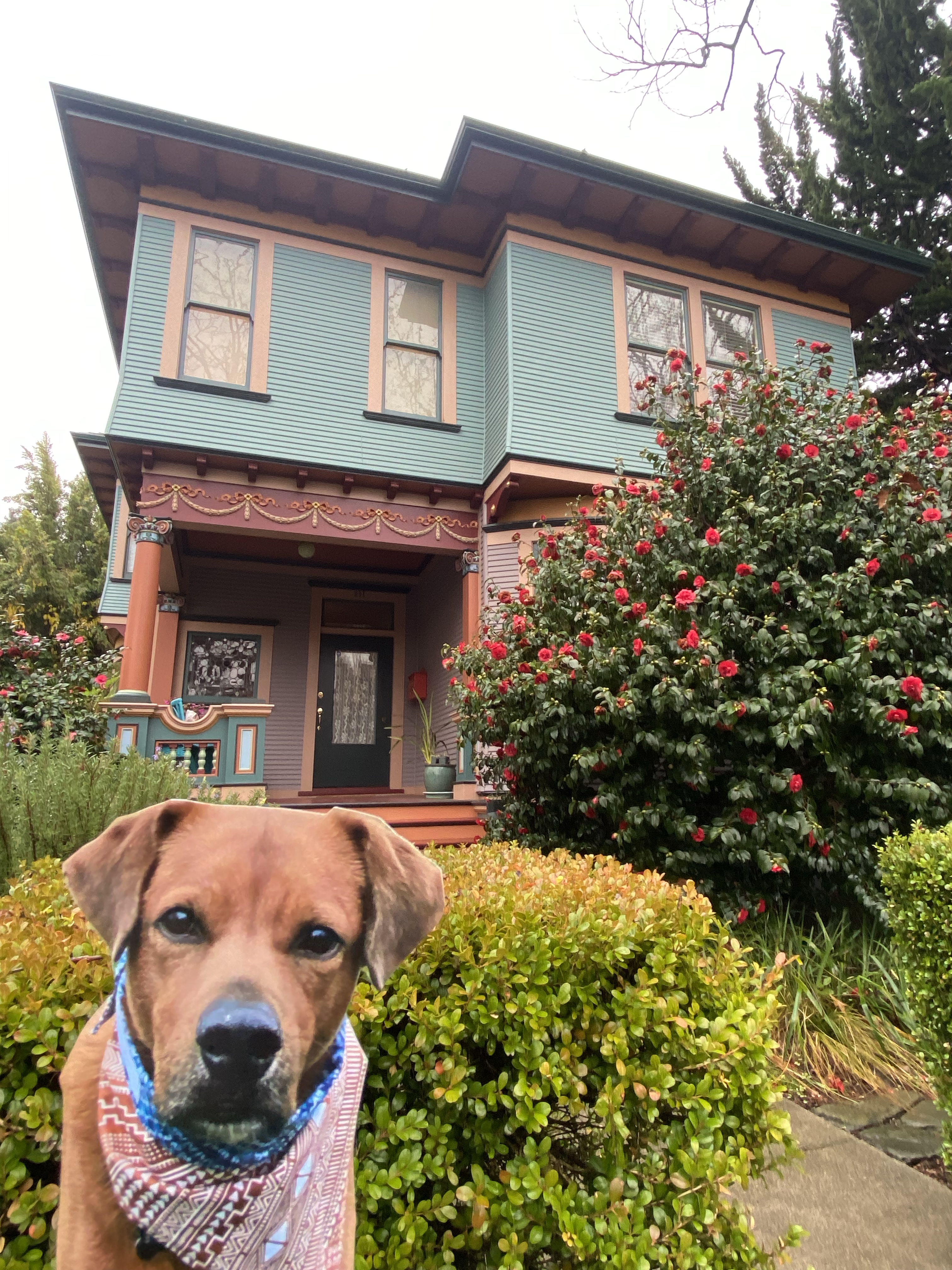 Morgan House – Walkies Through History
