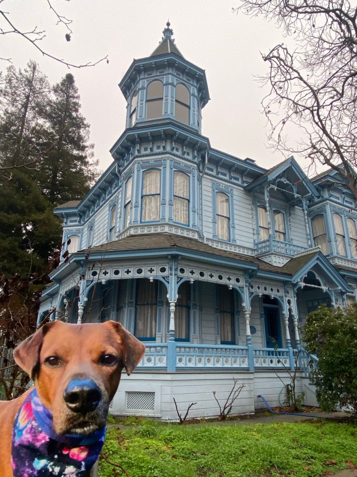 Thomas Weeks House – Walkies Through History