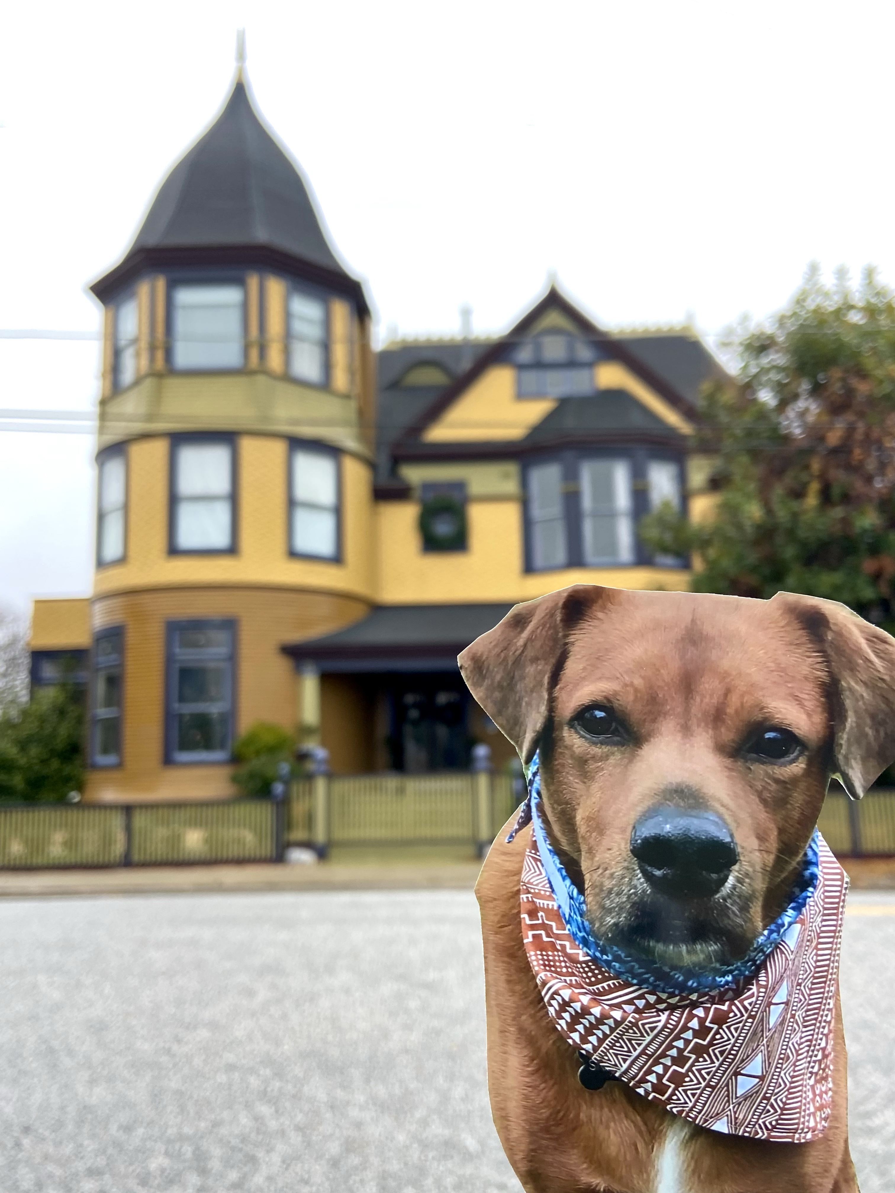 Golden Gate Villa – Walkies Through History