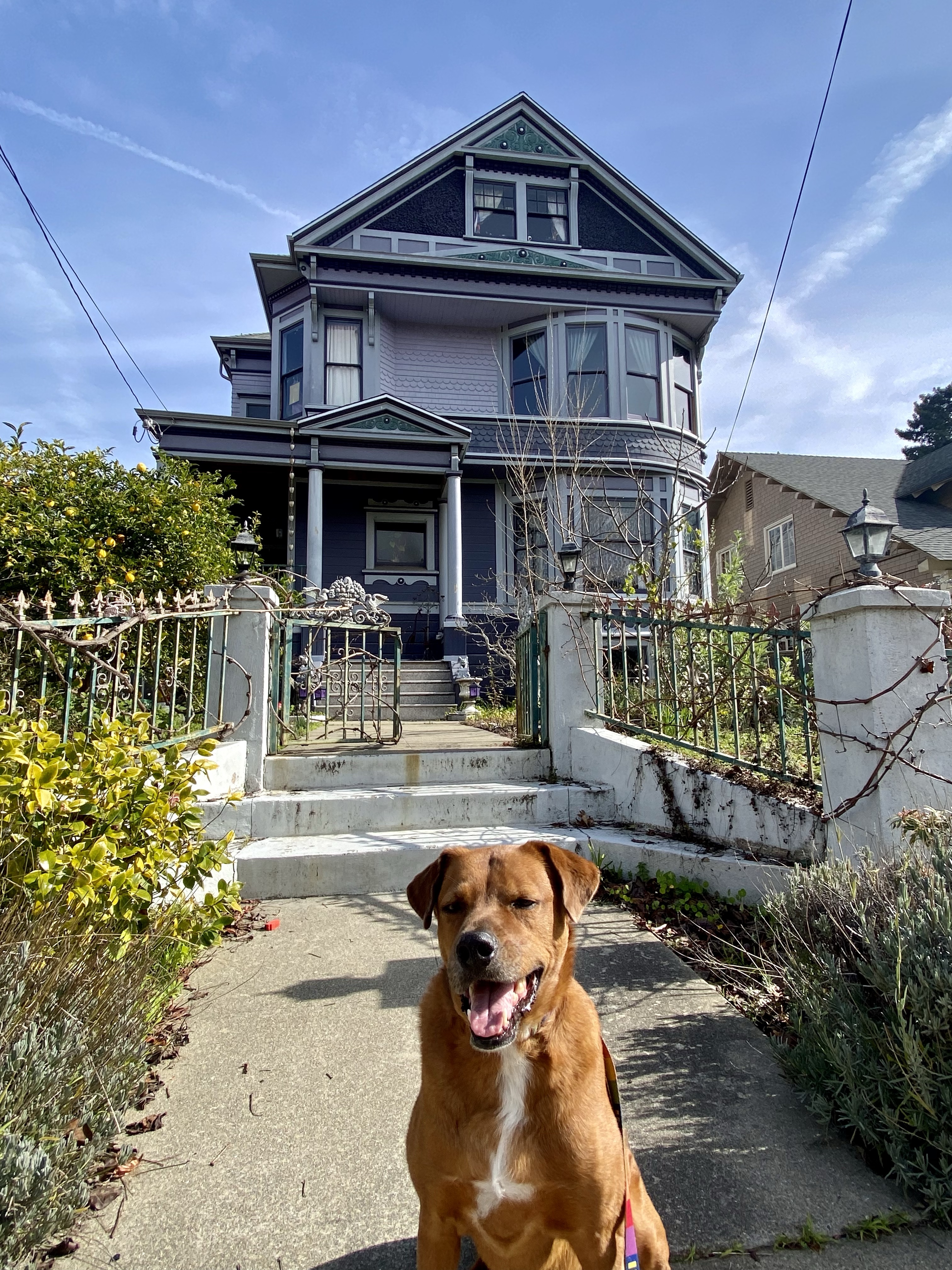 George Plummer House – Walkies Through History