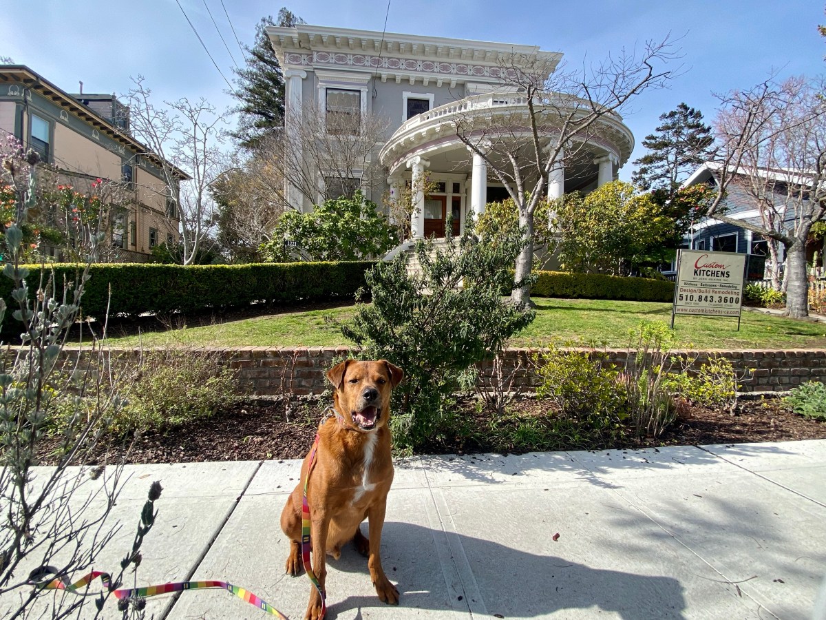 Robert Mitchell House – Walkies Through History