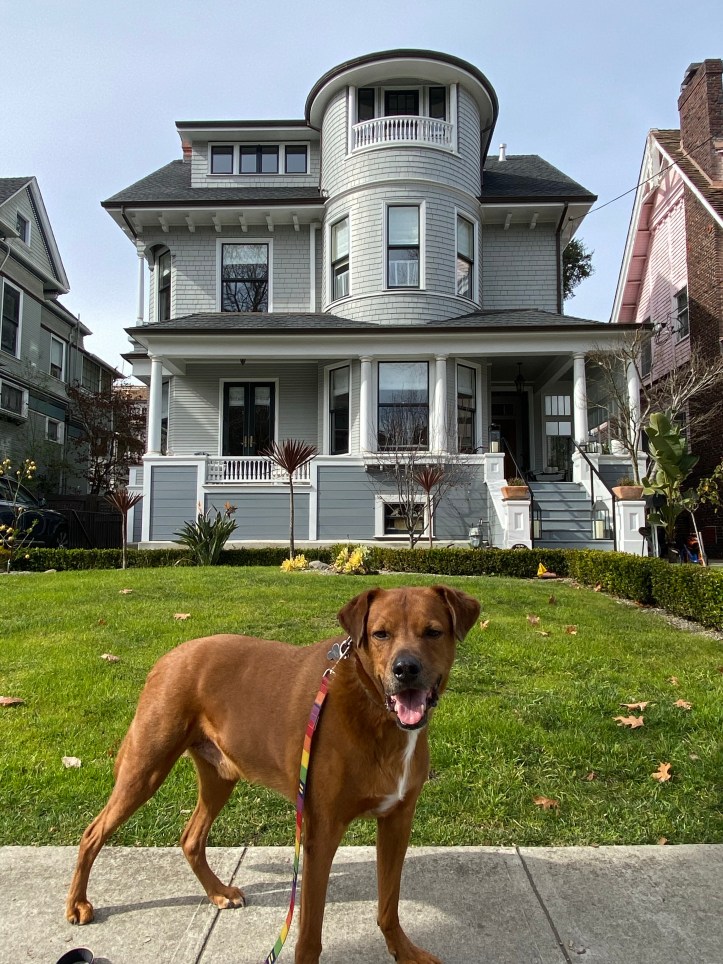 Thomas and Elizabeth O’Connor House – Walkies Through History