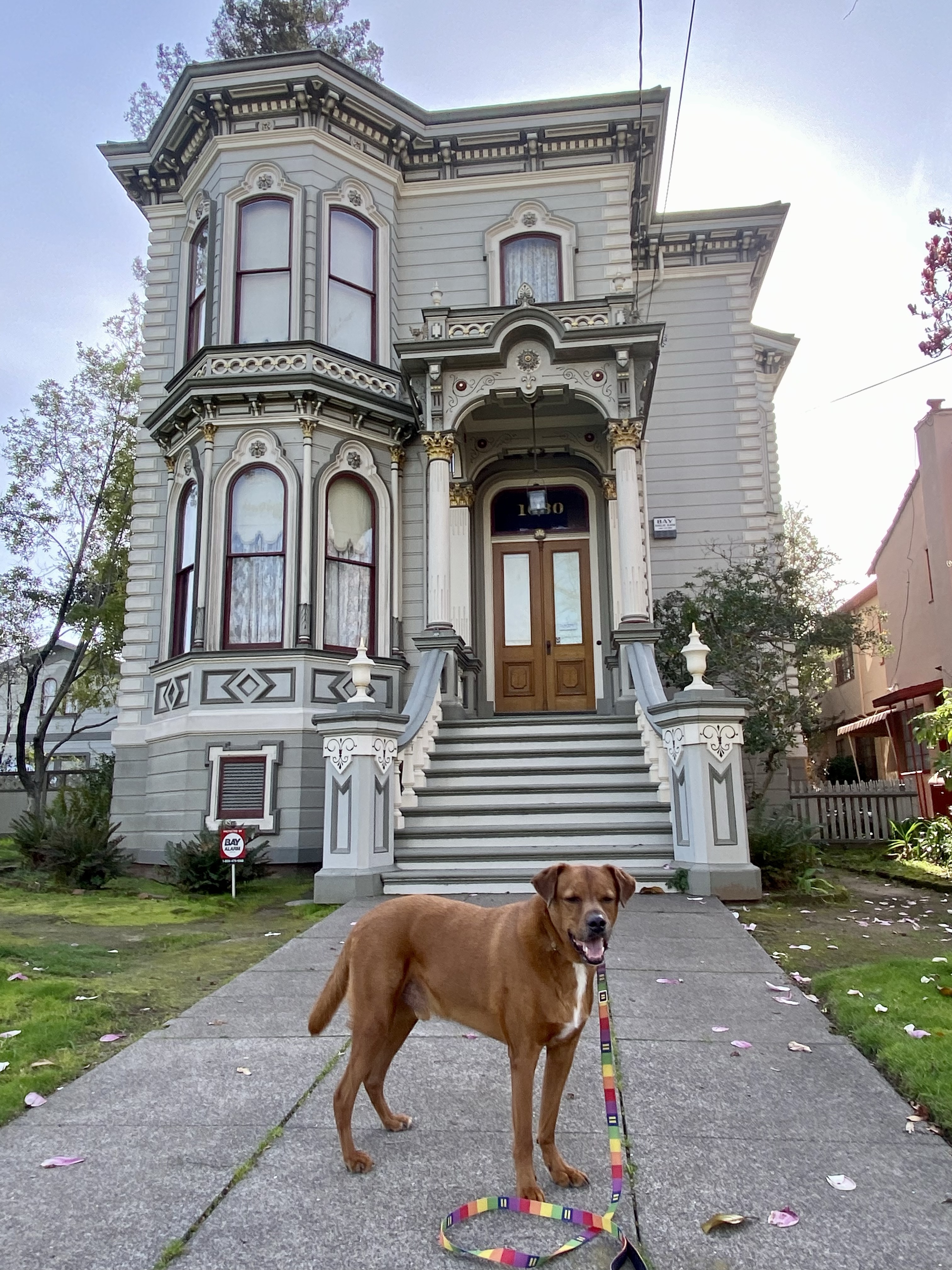 John Anthony House – Walkies Through History