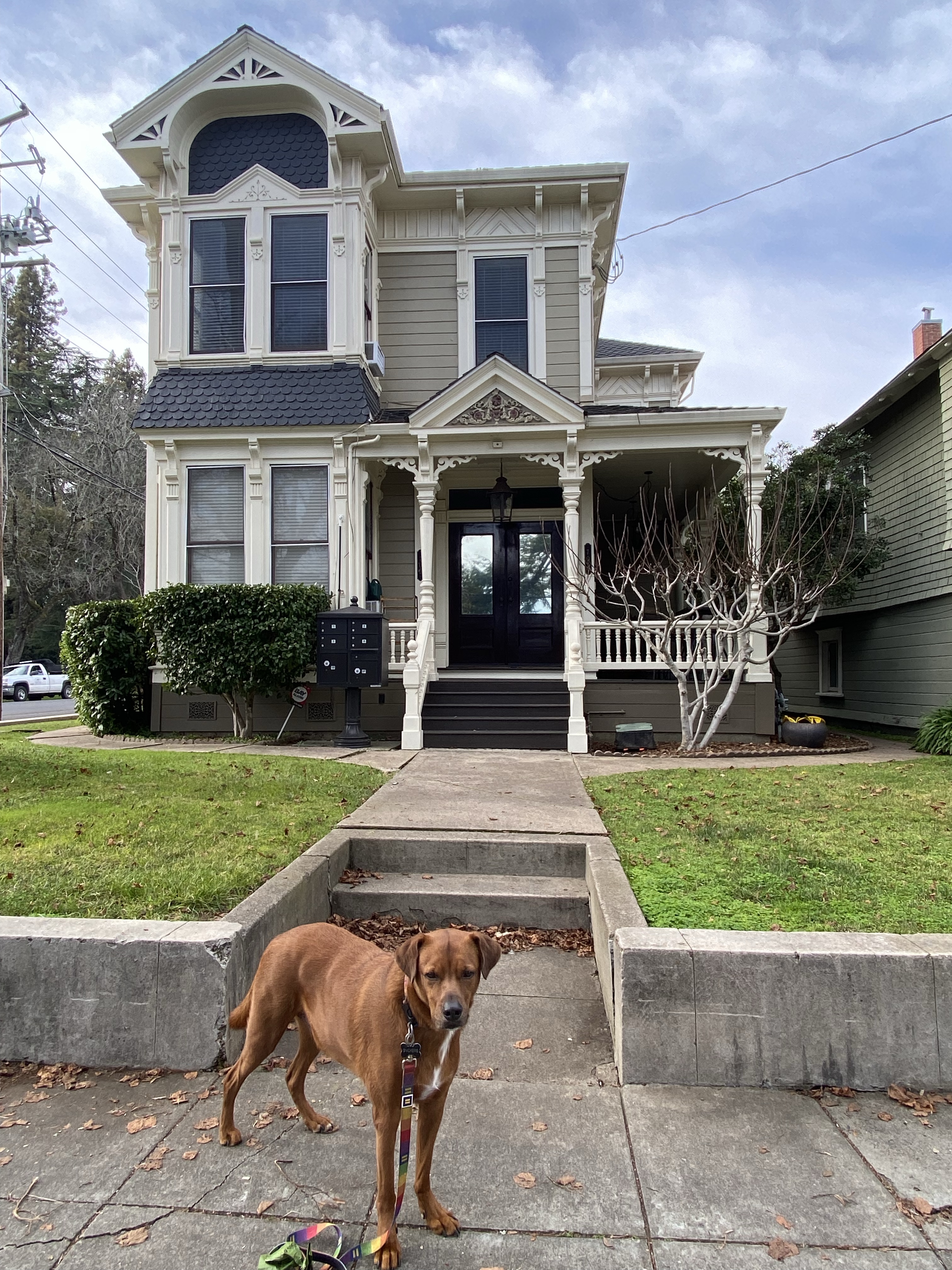 Perry House – Walkies Through History
