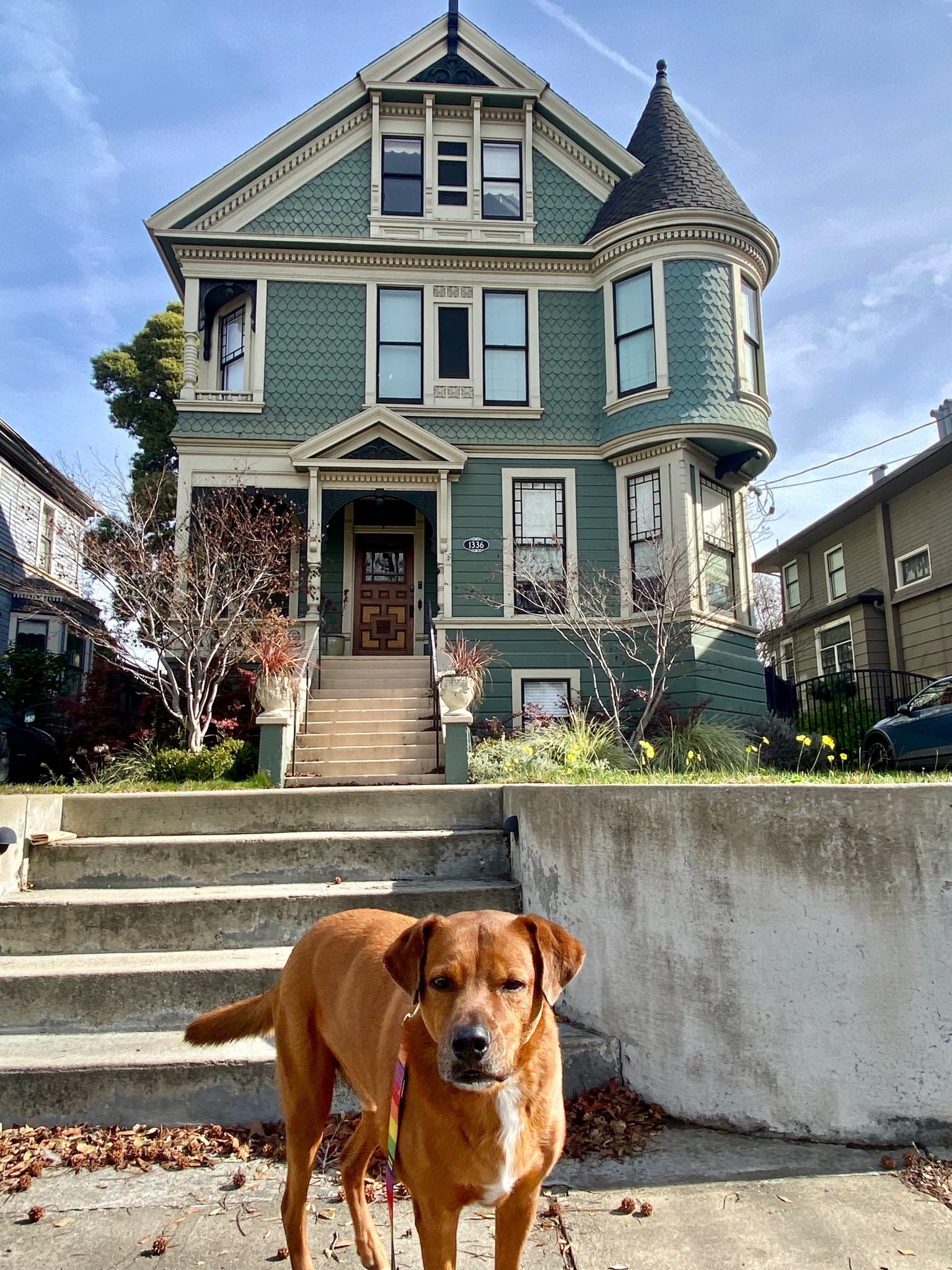 J.S. Hanley House – Walkies Through History