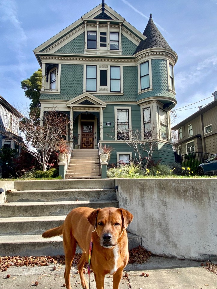 J.S. Hanley House – Walkies Through History