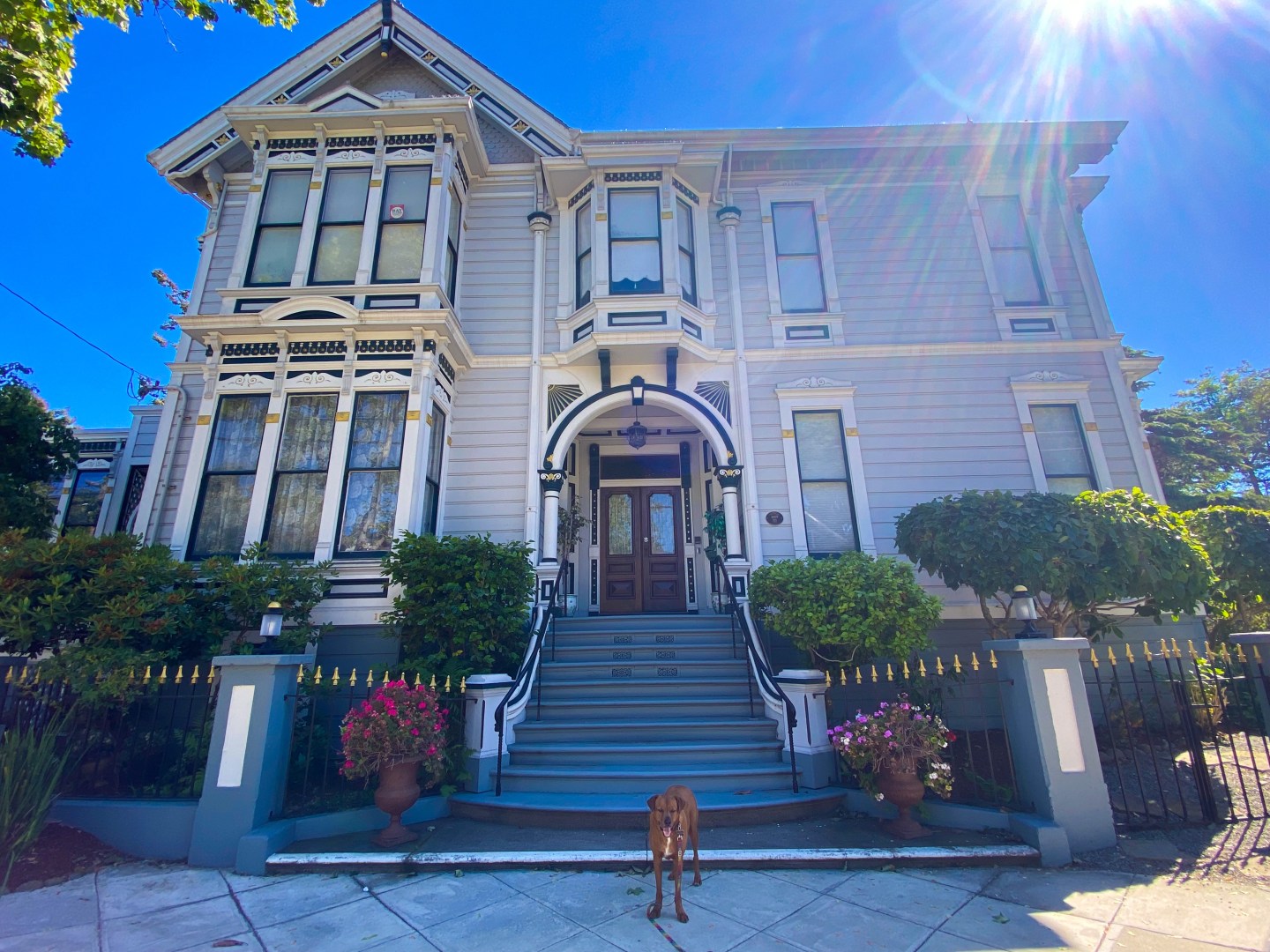 Albert Victors House – Walkies Through History
