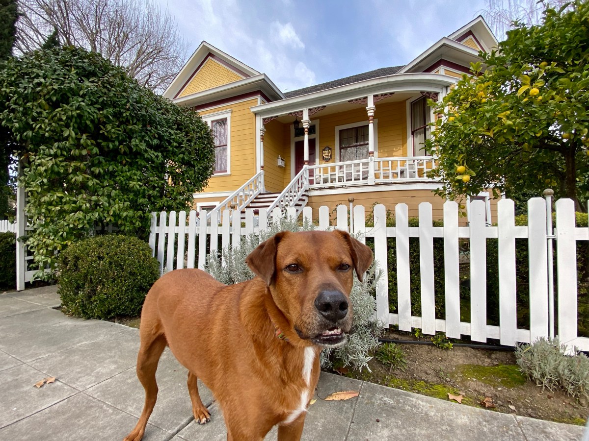 De Mar House – Walkies Through History